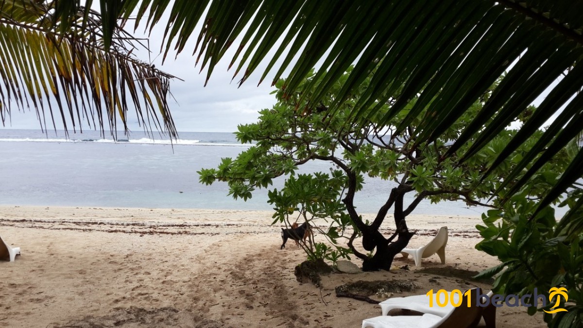 통가에서 최고의 해변